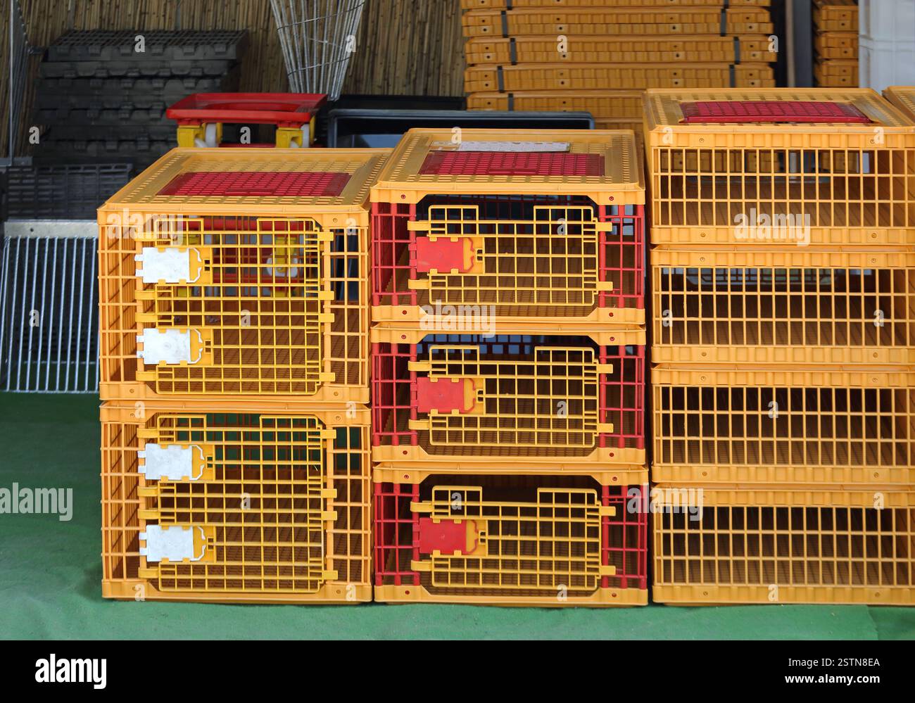 Plastic transport cages for birds at farm hi-res stock photography and ...