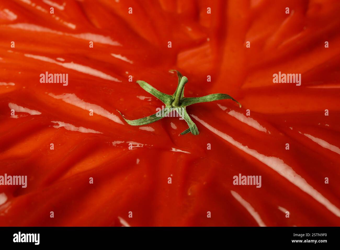 Slathered ketchup as smashed tomato, closeup view Stock Photo - Alamy