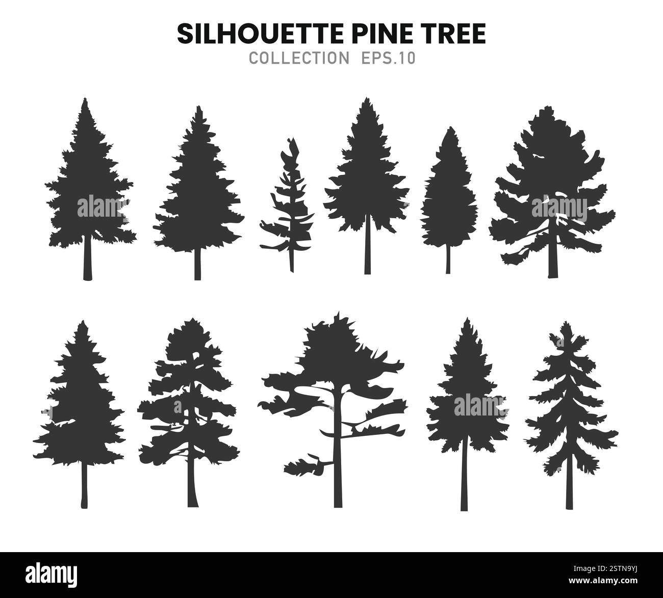 A collection of simple and elegant pine tree silhouettes, perfect for ...