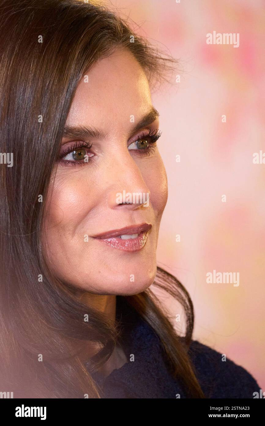 Queen Letizia of Spain attends a lunch with Egyptian President at Royal ...