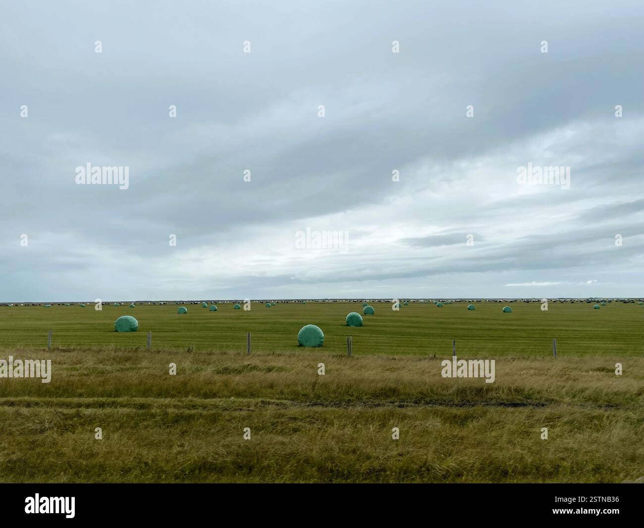 A vast landscape with green fields dotted by turquoise-wrapped hay ...