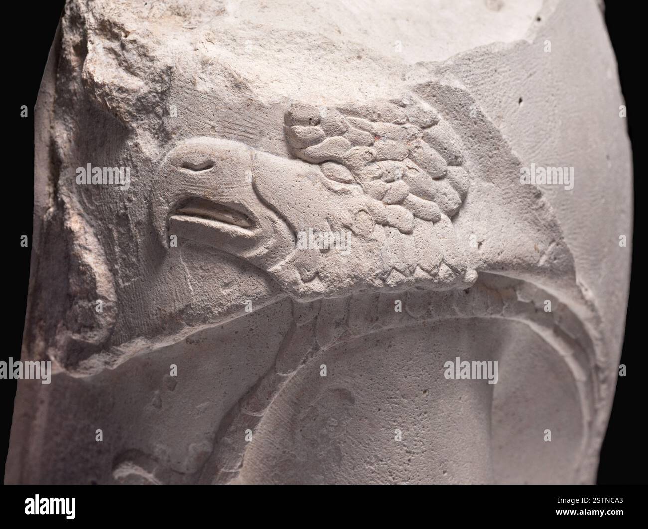 A 14th-century heraldic design on a tomb effigy, showing detailed coat ...