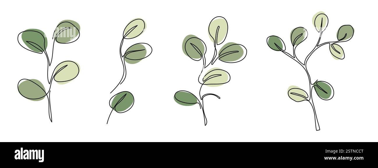 Set of Eucalyptus branches in modern single line art style. Continuous ...