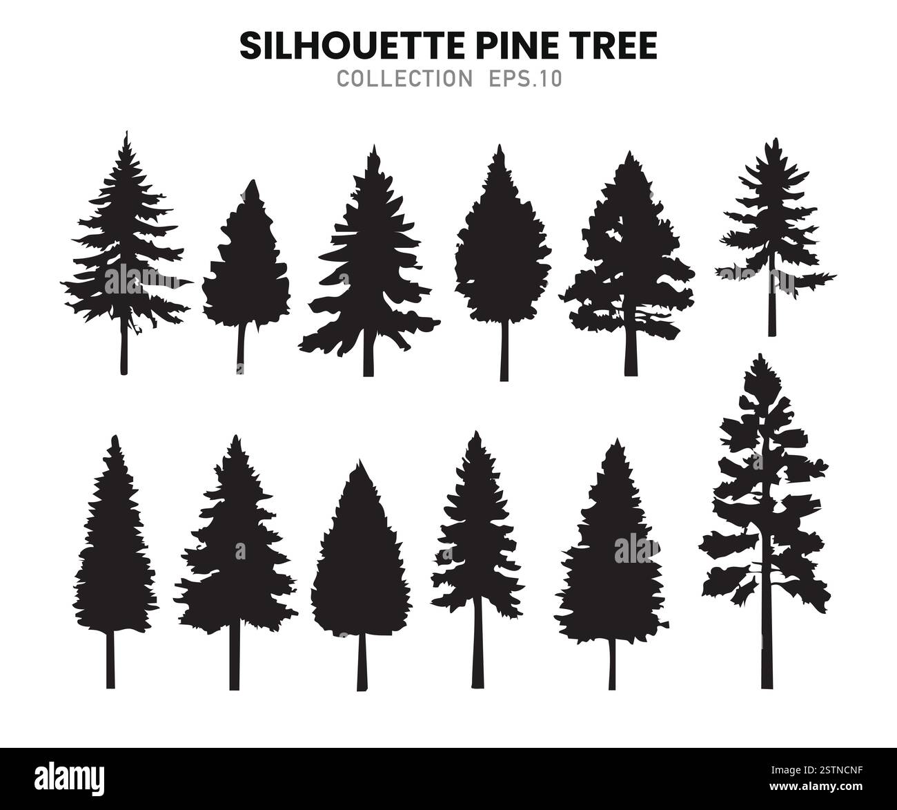 High-quality evergreen tree silhouettes, great for branding, logos, and ...