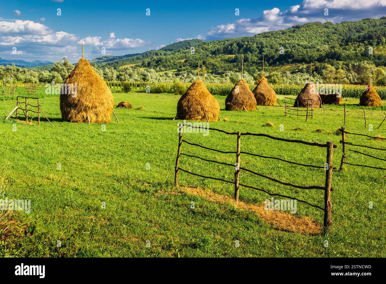 Field landscape haystacks in traditional hi-res stock photography and ...