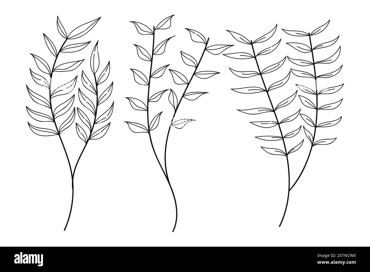 Hand-drawing botanical leaves line collection. Vector illustration ...