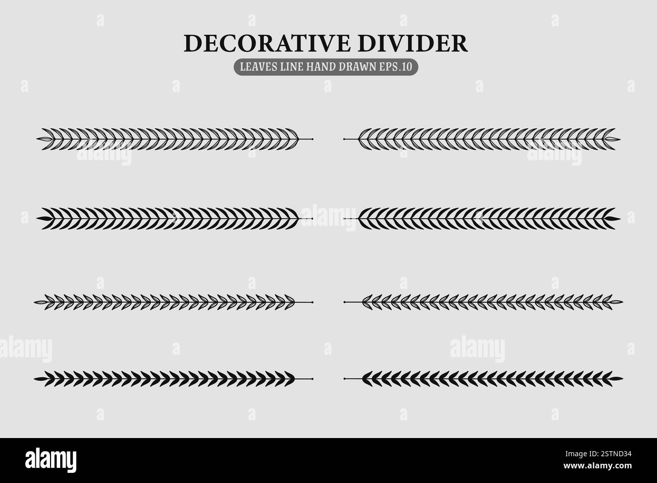 Hand - drawing nature floral vine line divider for text layout separator decoration element ...