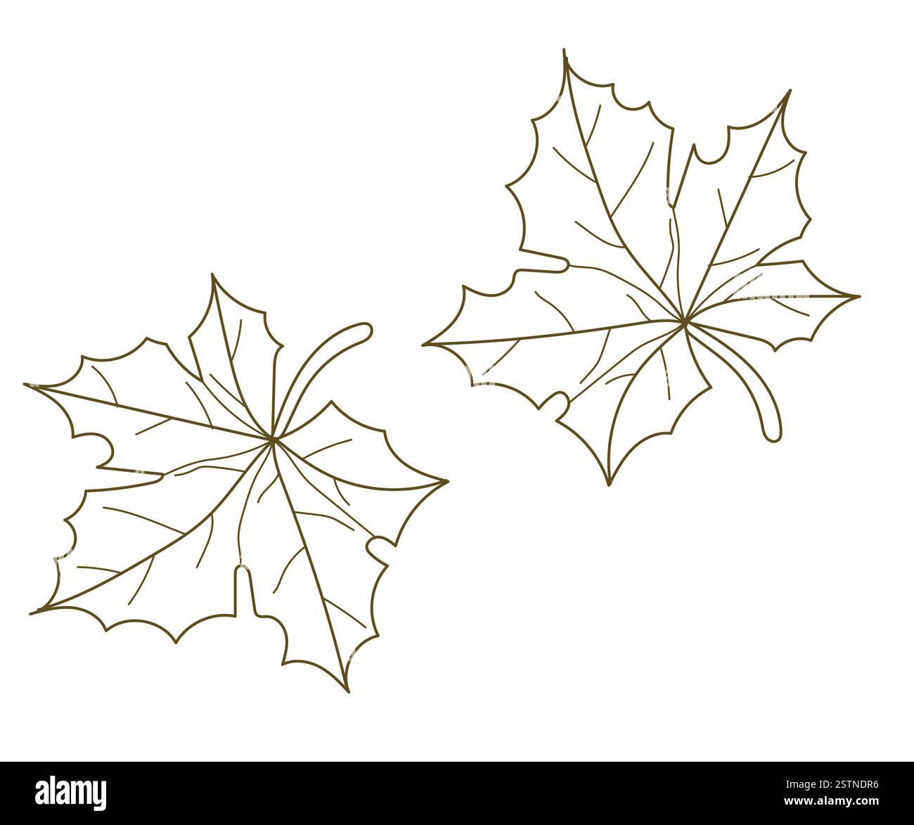 Hand drawing brown maple leaf line art collection.Autumn season.Vector ...