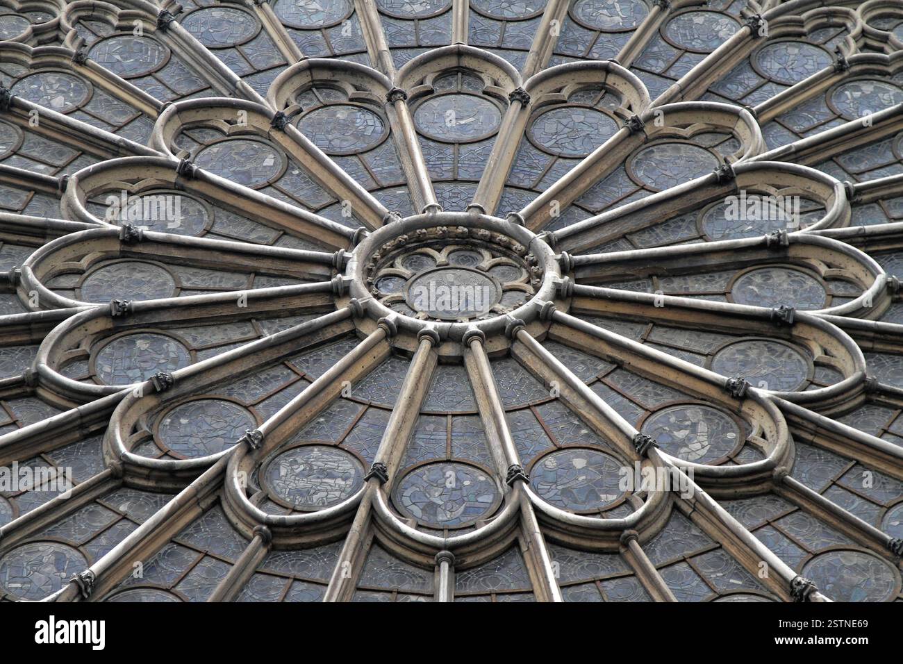 Notre Dame Rose Window Stock Photo - Alamy