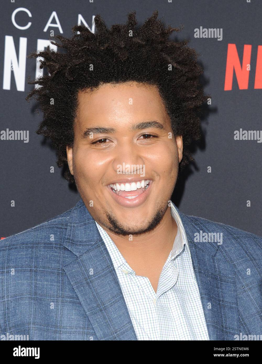 Lou Wilson attends the premiere of Netflix's 'American Vandal' at ...