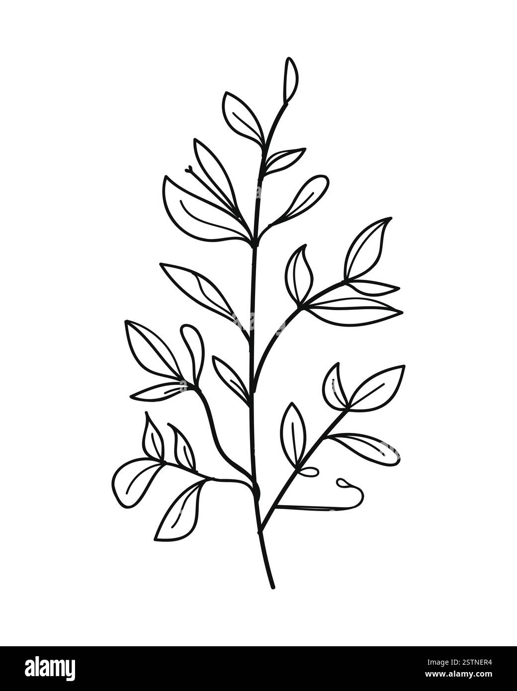 Cute branch with flowers and leaves isolated on white background ...