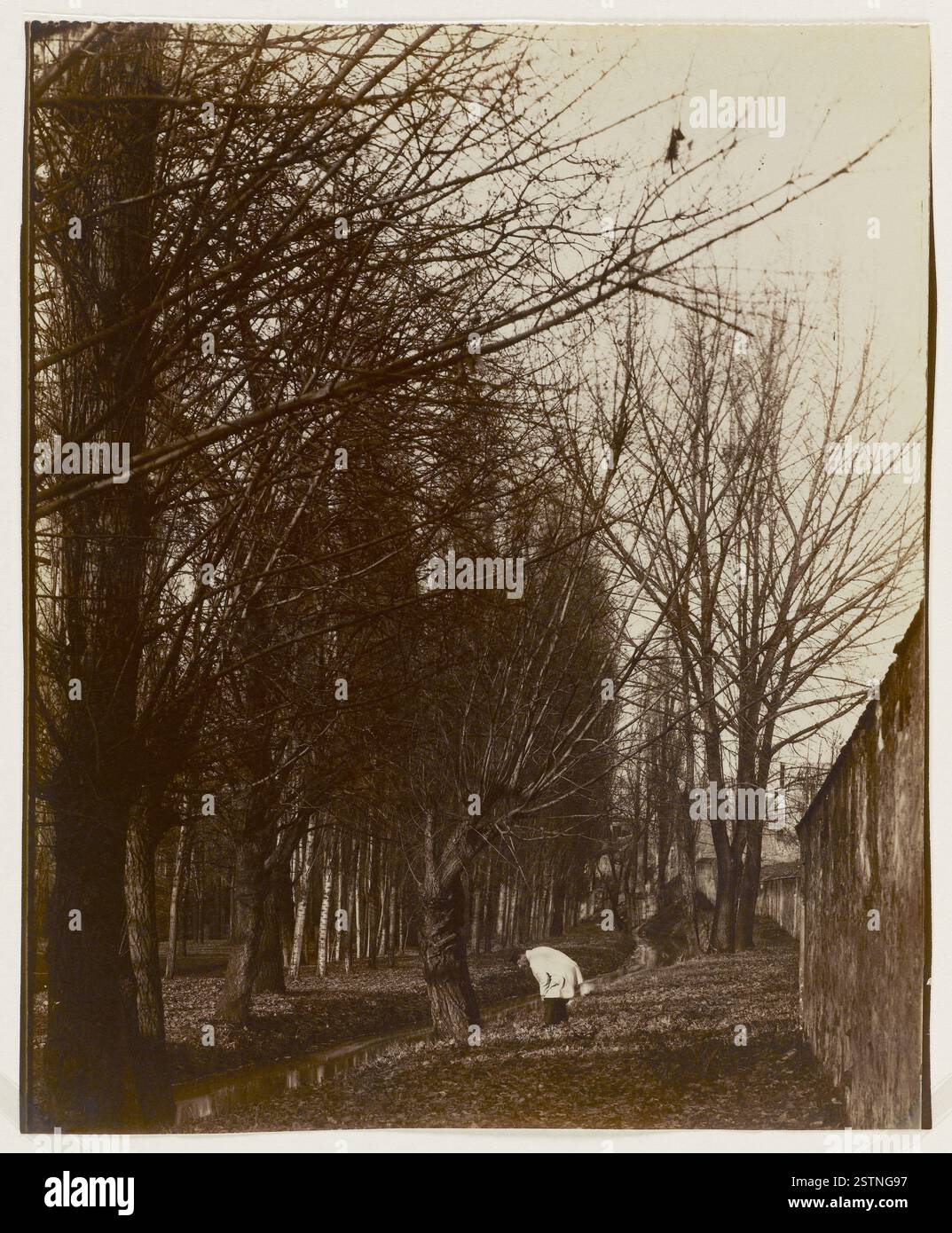 A photograph from between 1890 and 1895 by Eugène Atget, acquired on ...