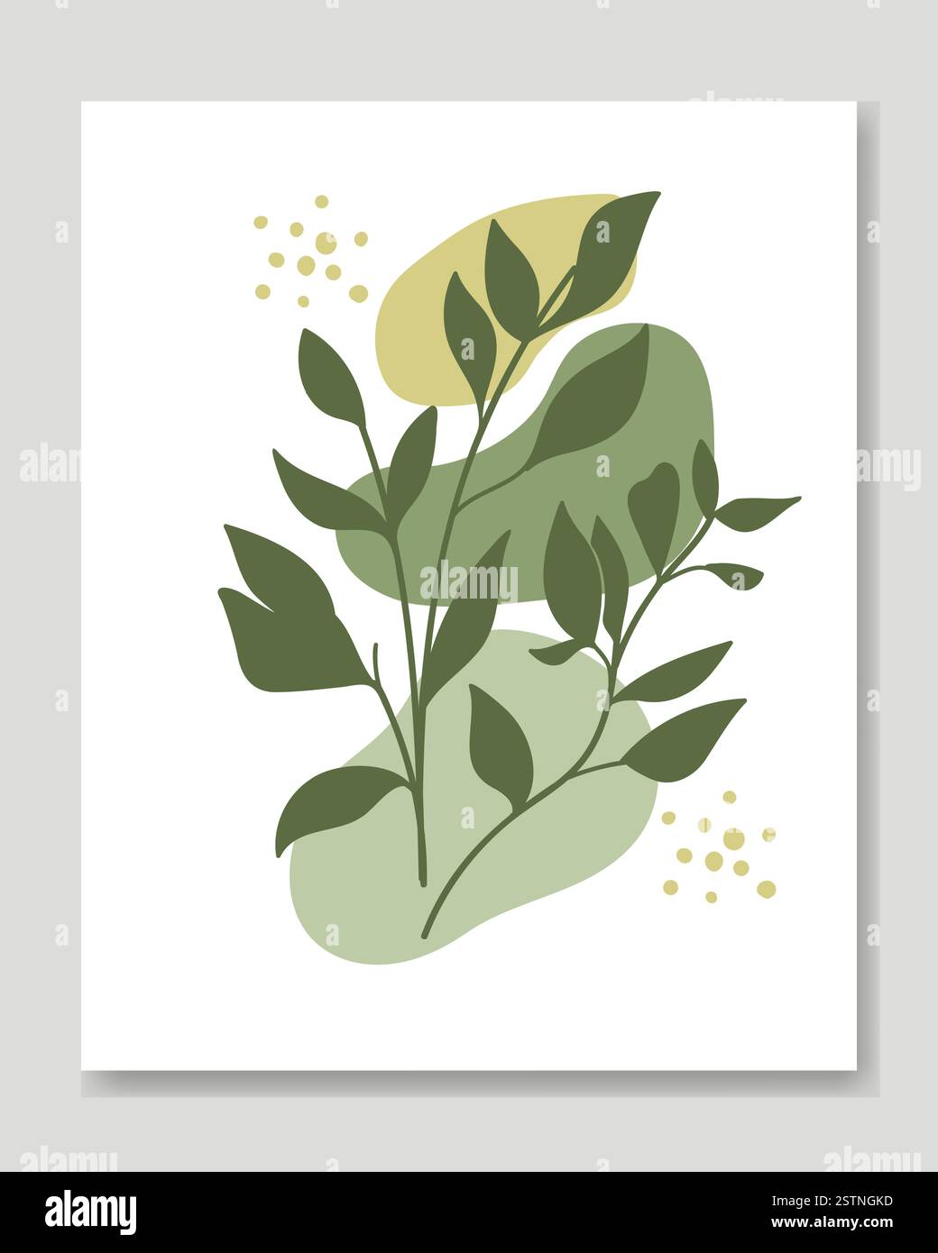Aesthetic Abstract Botanical with Bohemian Drawing.Vector illustration ...