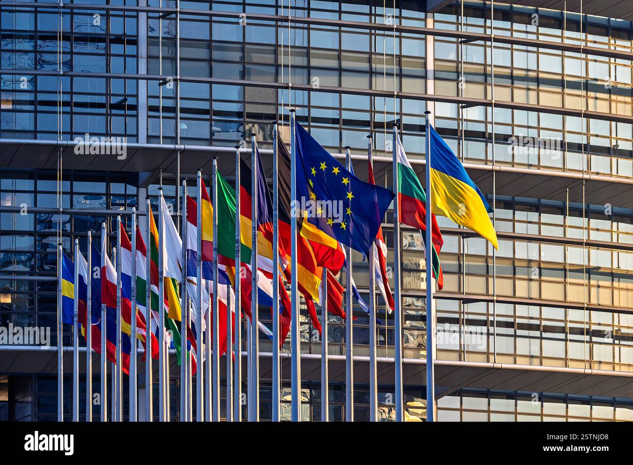 Europaparlament, Straßburg, 18.02.2025 Flaggen der Europäischen Union ...