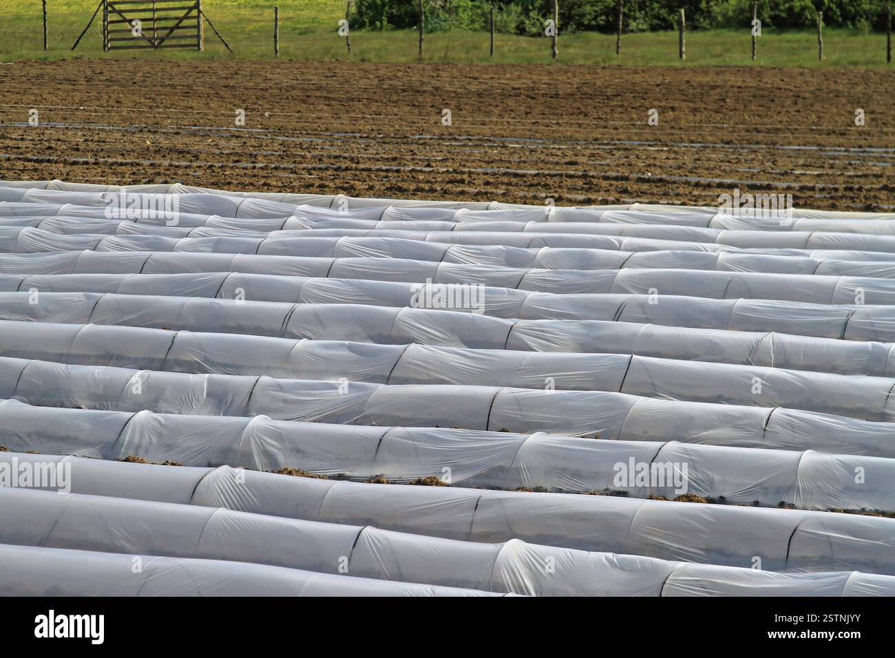 Floating row covers hi-res stock photography and images - Alamy