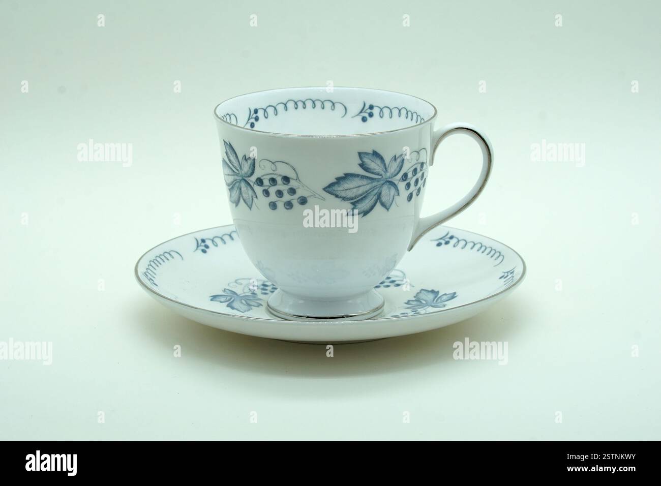 Susie Cooper bone china cup and saucer in Blue Vine pattern, circa 1960 ...