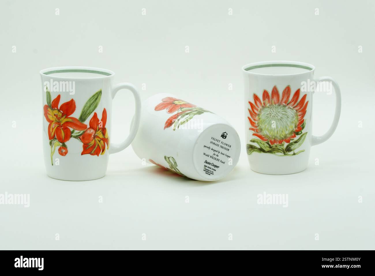 Susie Cooper Design bone china mugs for World Wildlife Fund Stock Photo ...