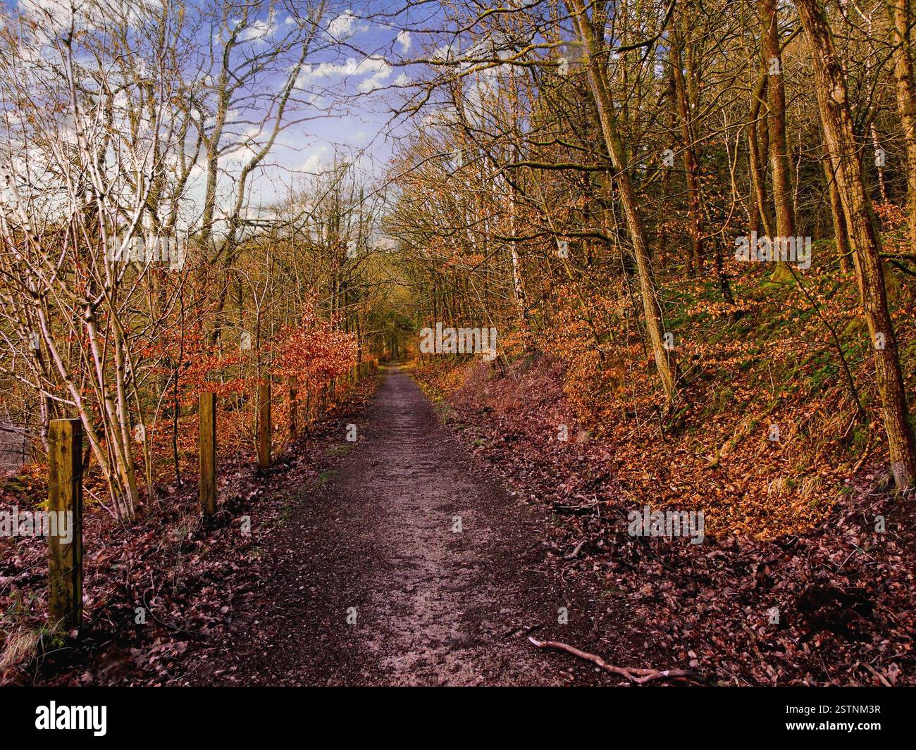 Coleford forest dean gloucestershire hi-res stock photography and ...