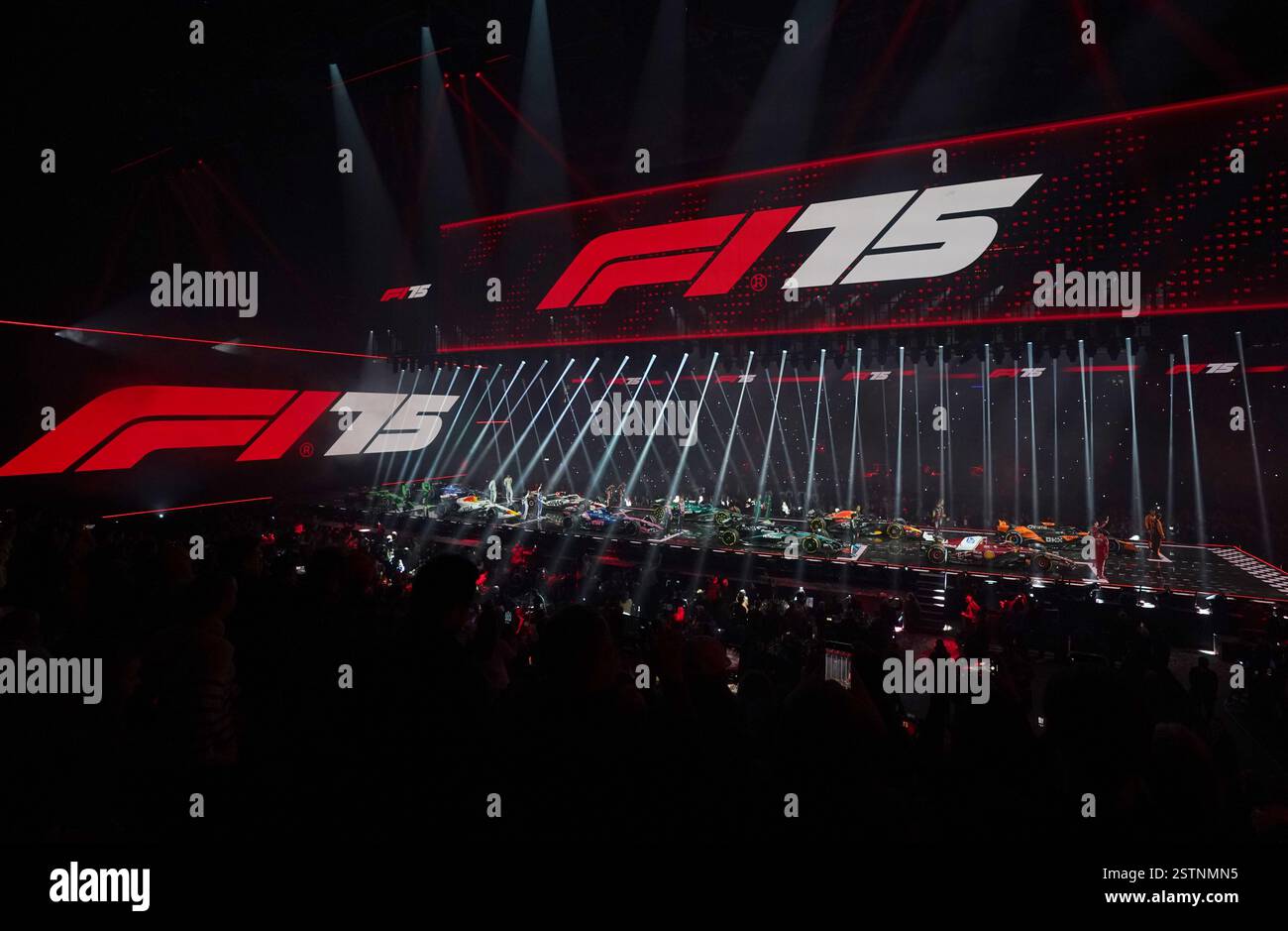 All 10 teams and their drivers line up with their 2025 season liveries ...