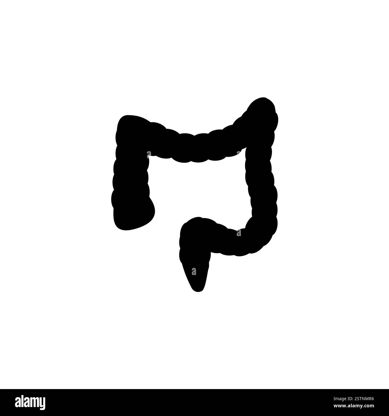 Intestines, Colon, Human Digestive Organ Solid Flat Vector Icon ...