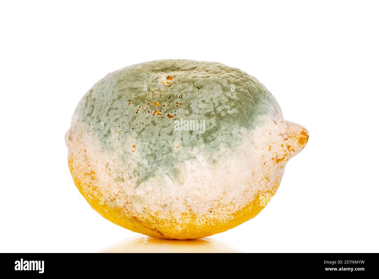 One lemon with mold, close-up, isolated on white background Stock Photo ...