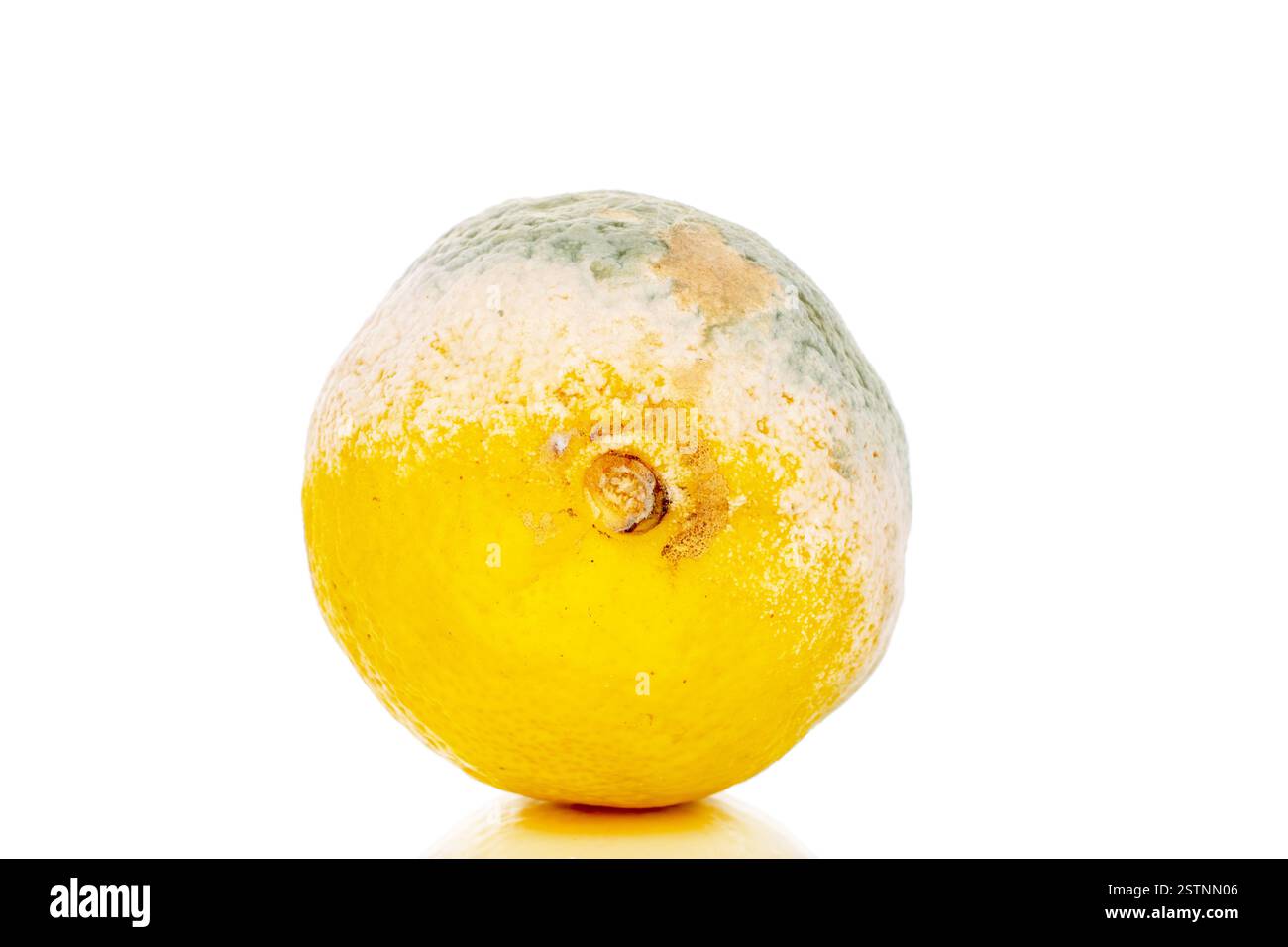 One lemon with mold, close-up, isolated on white background Stock Photo ...