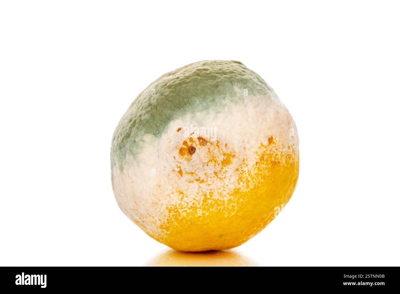 One lemon with mold, close-up, isolated on white background Stock Photo ...