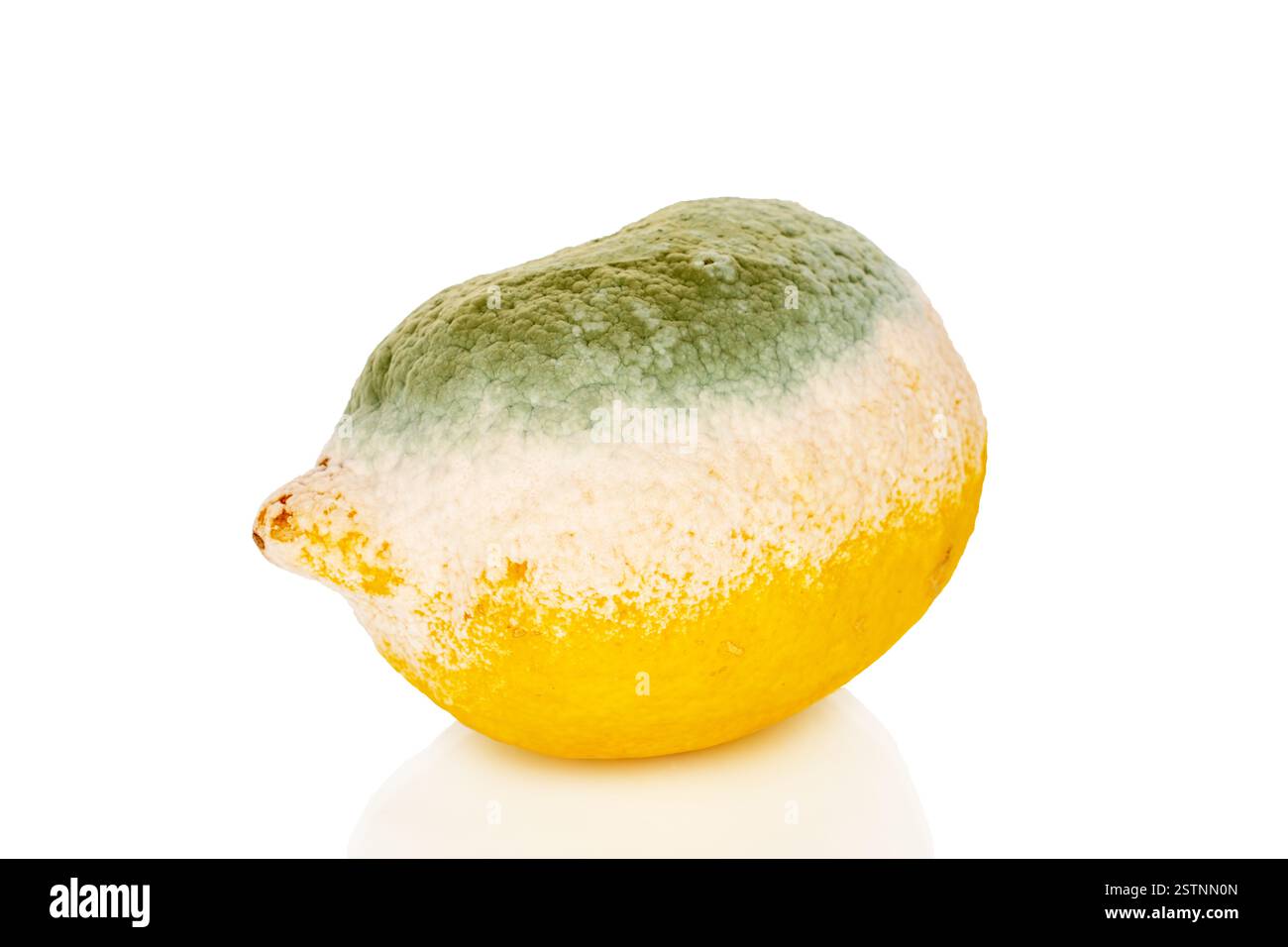 One lemon with mold, close-up, isolated on white background Stock Photo ...