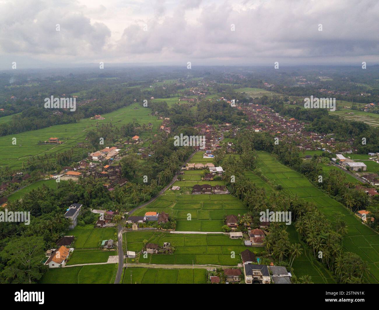 Aerial view of Ubud countryside in Bali Stock Photo - Alamy