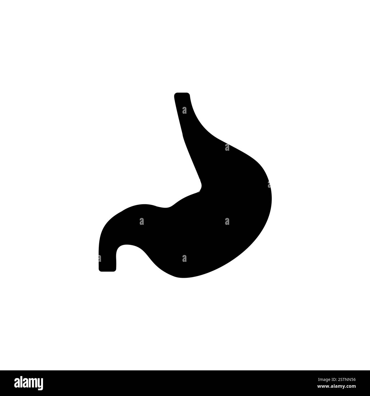 Stomach, Human Digestive Organ, Anatomy Solid Flat Vector Icon Isolated ...