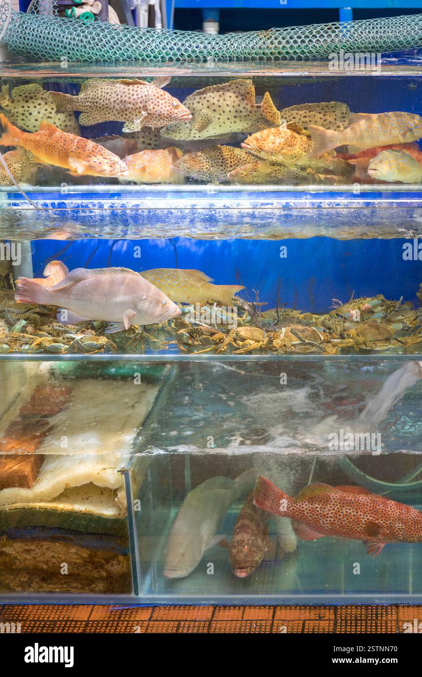 Crabs and Fish Stock Photo - Alamy
