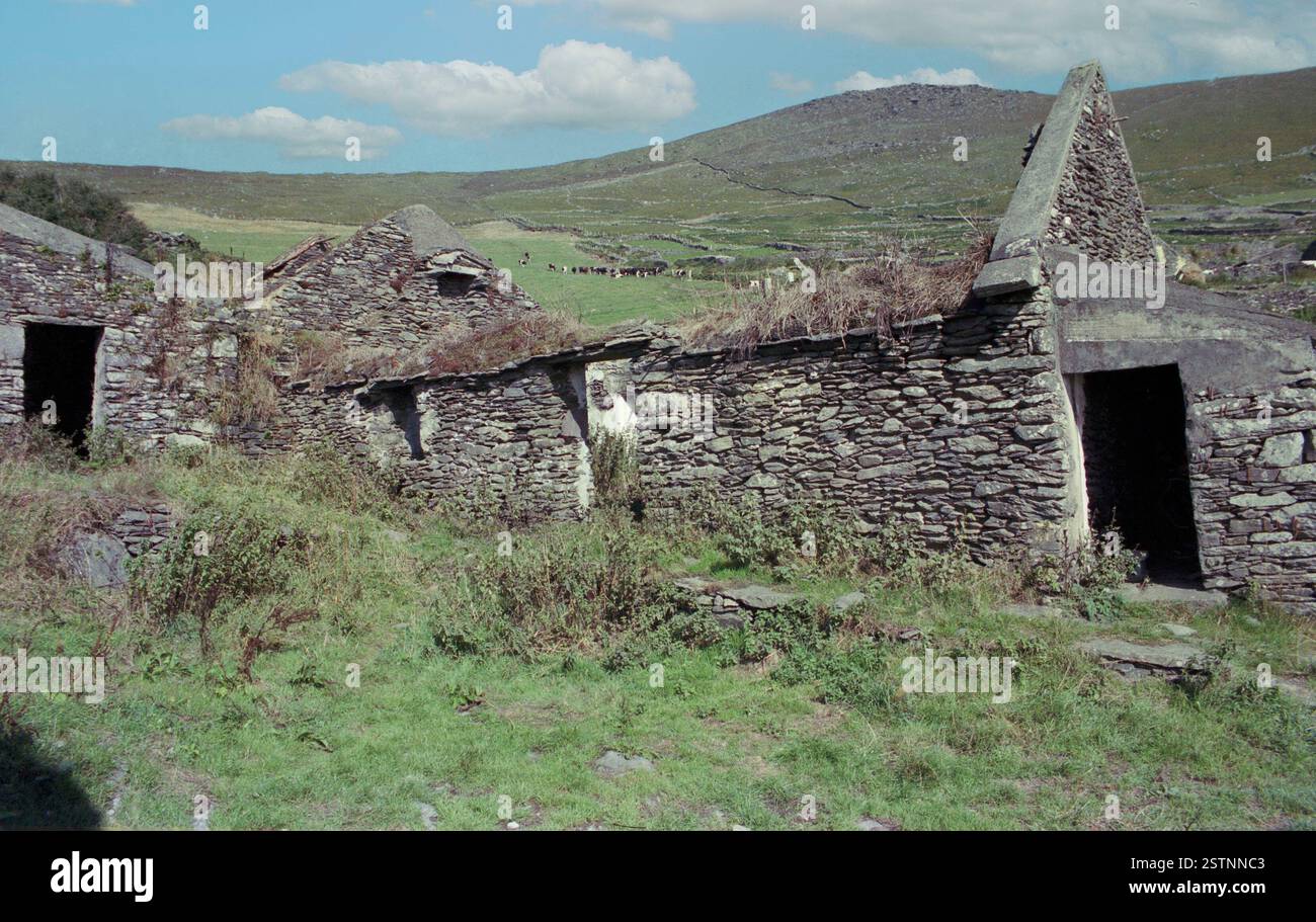An old ruined turf house on the west coast of Southern Ireland in 1985 ...