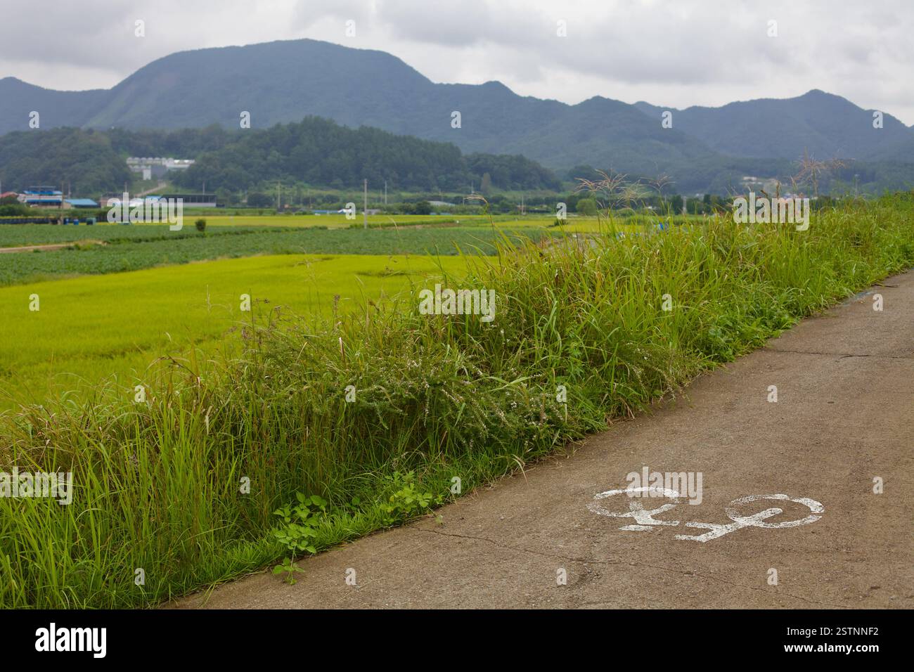 Off the beaten path korea hi-res stock photography and images - Alamy