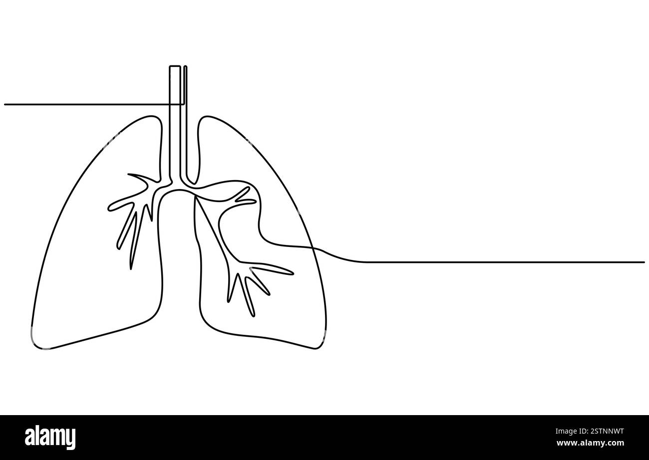 human organ single line art Stock Vector Image & Art - Alamy