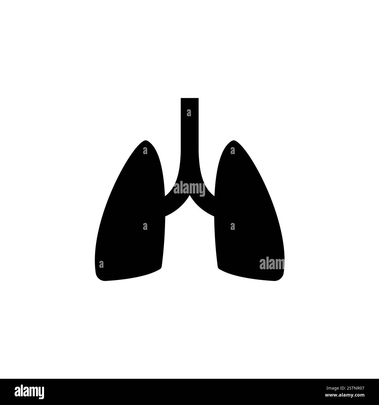 Lungs and Trachea, Human Respiratory Organ Solid Flat Vector Icon ...