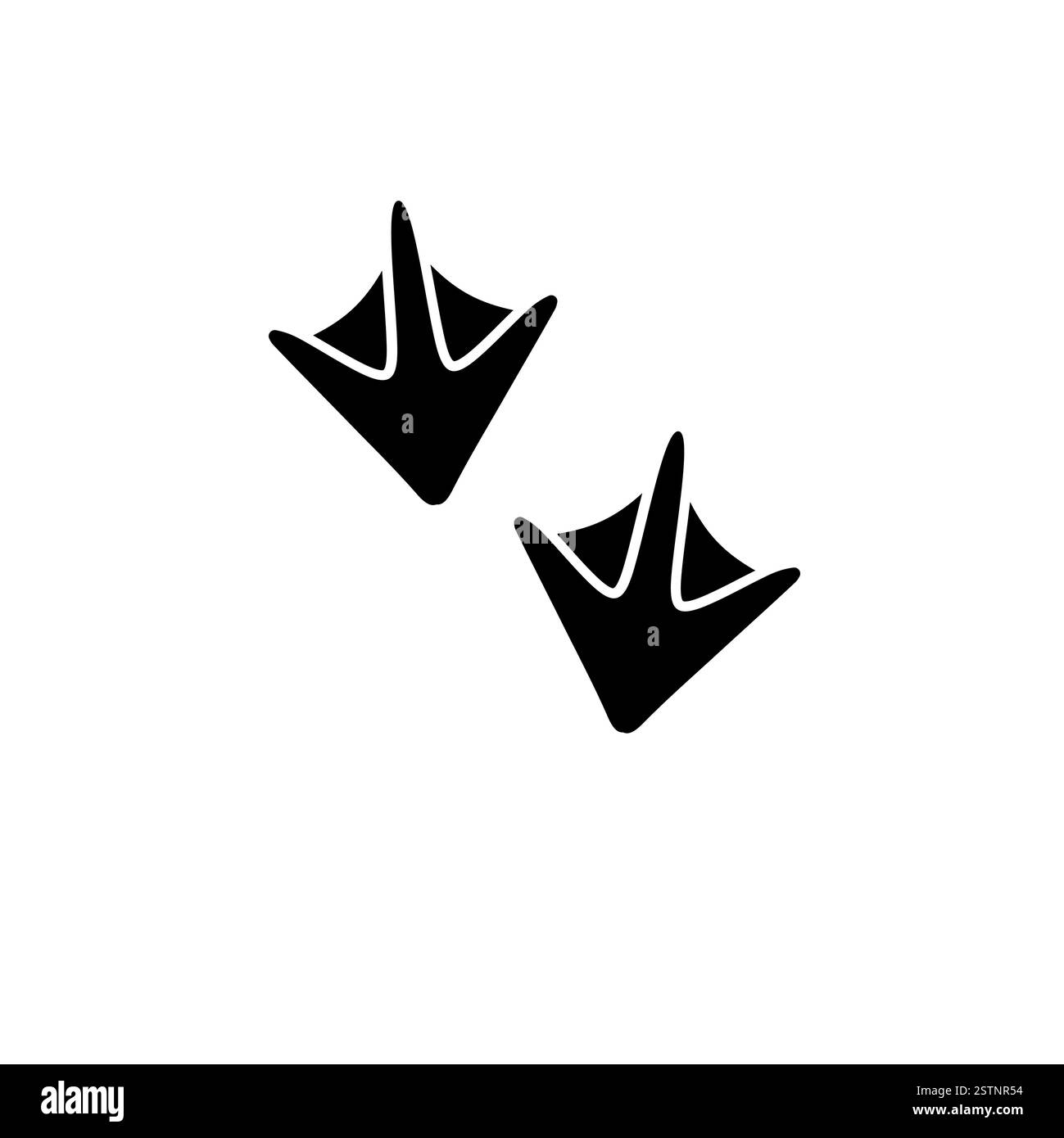 Animal Footprint, Duck Paw, Goose Trace Solid Flat Vector Icon Isolated ...