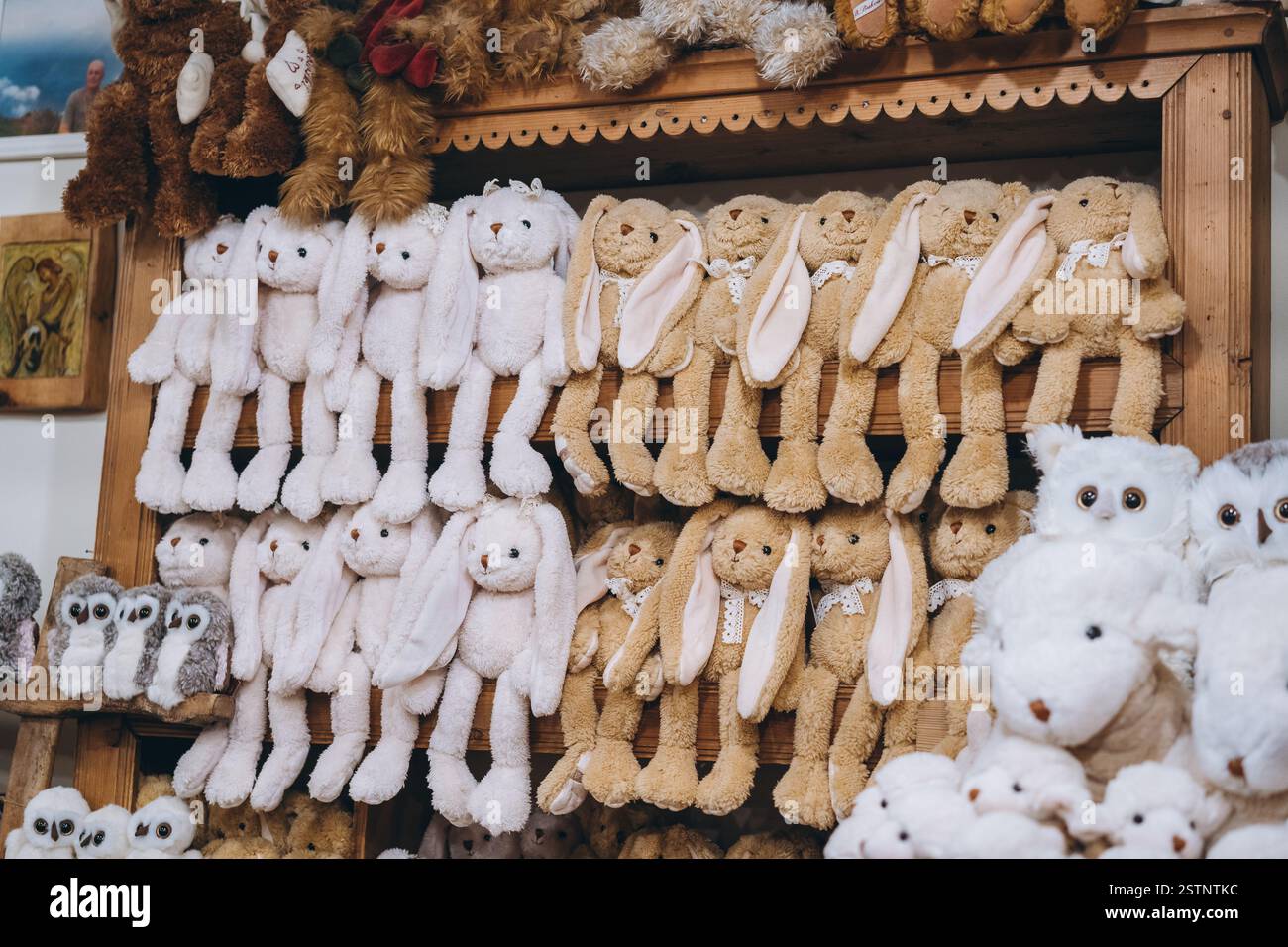 Store displays variety of latest fluffy soft toys for sale on their ...