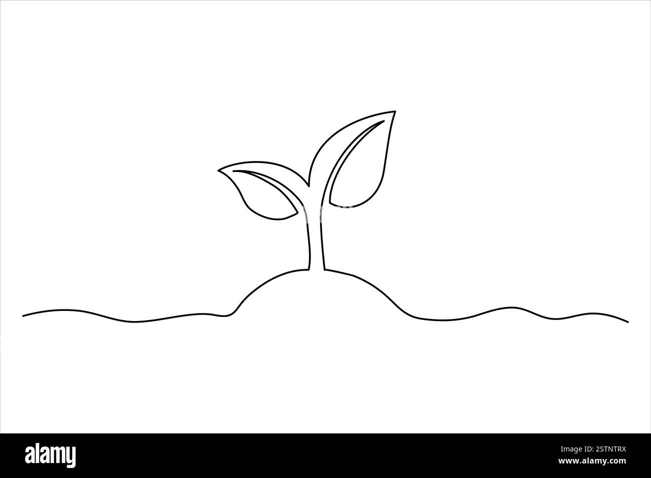 Continuous one line drawing of plant growth processing from seed ...