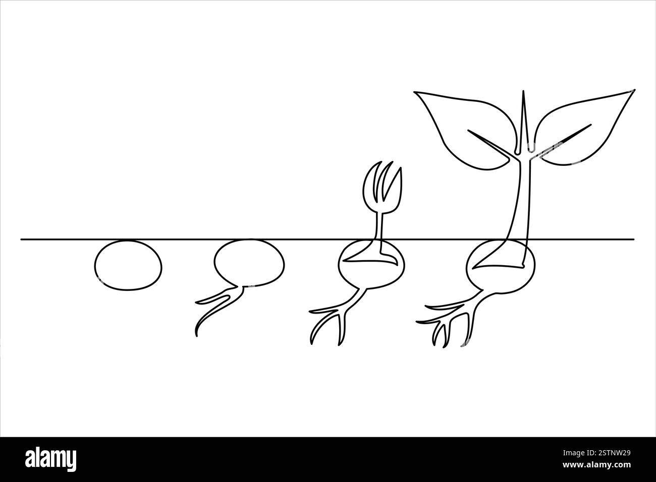 Continuous one line drawing of plant growth processing from seed ...