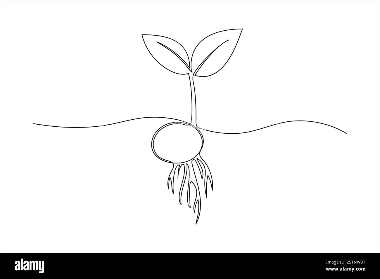 Continuous one line drawing of plant growth processing from seed ...