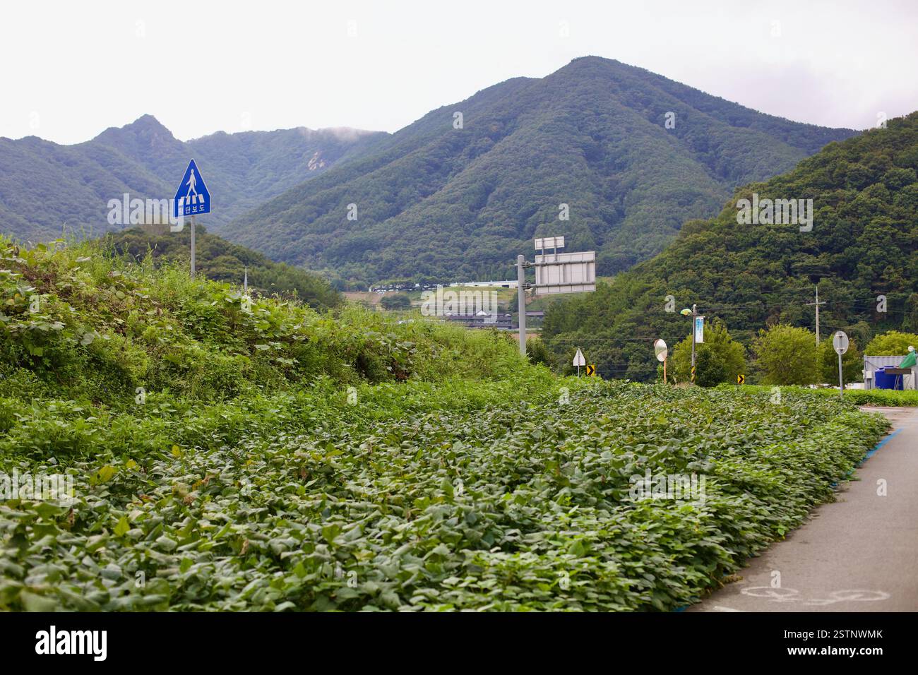 Goesan County, South Korea - September 10, 2020: A lush roadside path ...