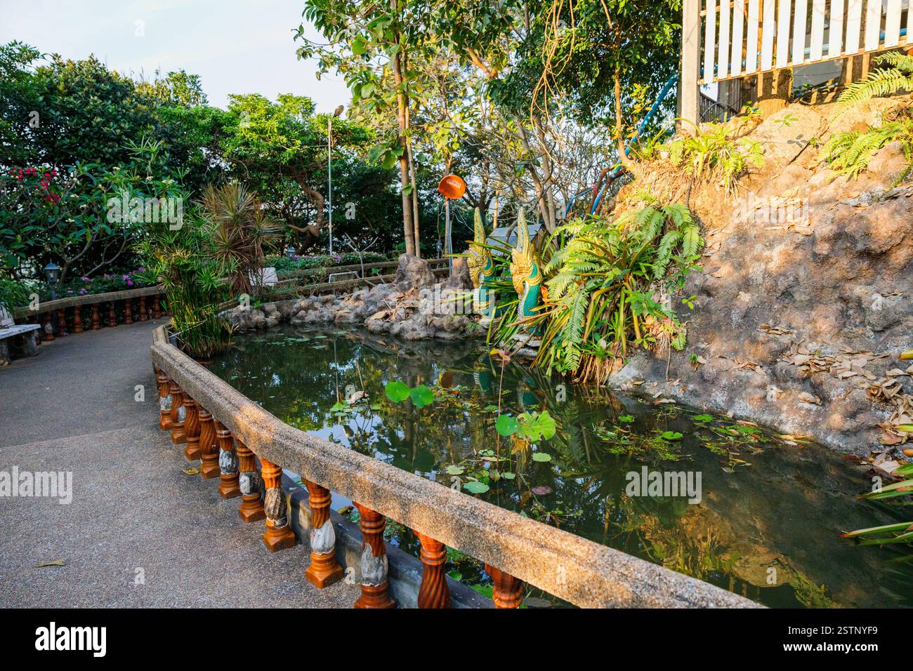 Serene pond with lily pads at Kao Hua Jook Pagoda Temple in Ko Samui ...