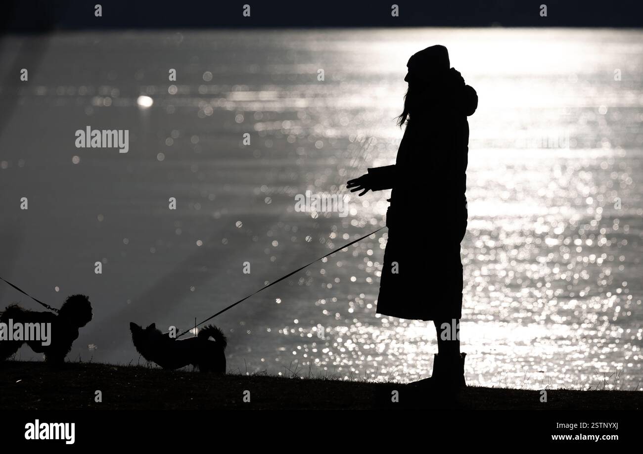 Lenz, Germany. 19th Feb, 2025. A woman walks along the shore of Lake ...
