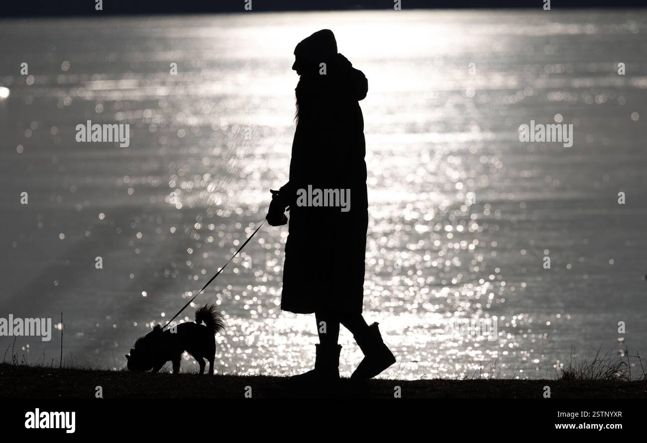 Lenz, Germany. 19th Feb, 2025. A woman walks along the shore of Lake ...
