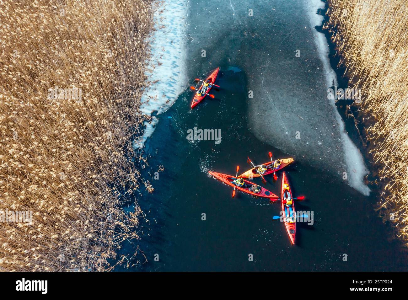 Group of people in kayaks among reeds on the autumn river Stock Photo ...