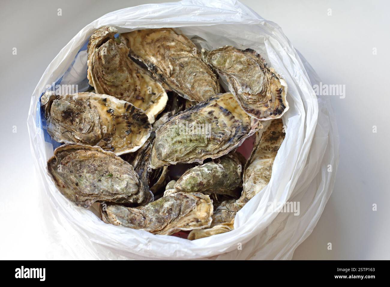 Bag of oysters hi-res stock photography and images - Alamy
