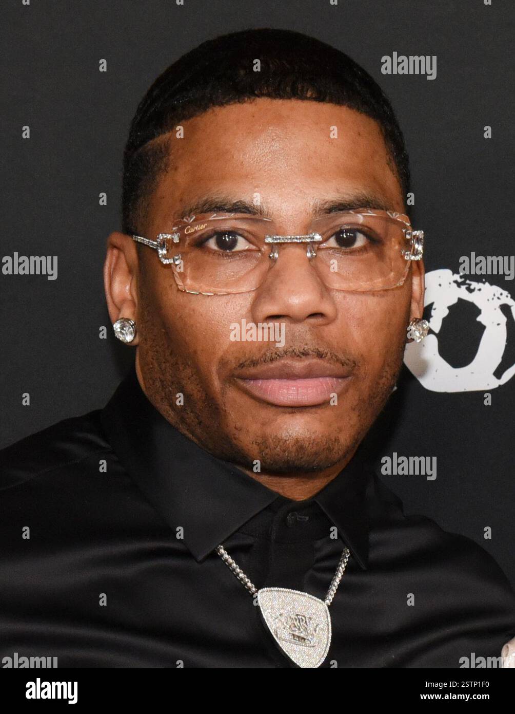 West Hollywood, California, USA. 18th Feb, 2025. Nelly. "No Address" Red Carpet Premiere at DGA ...