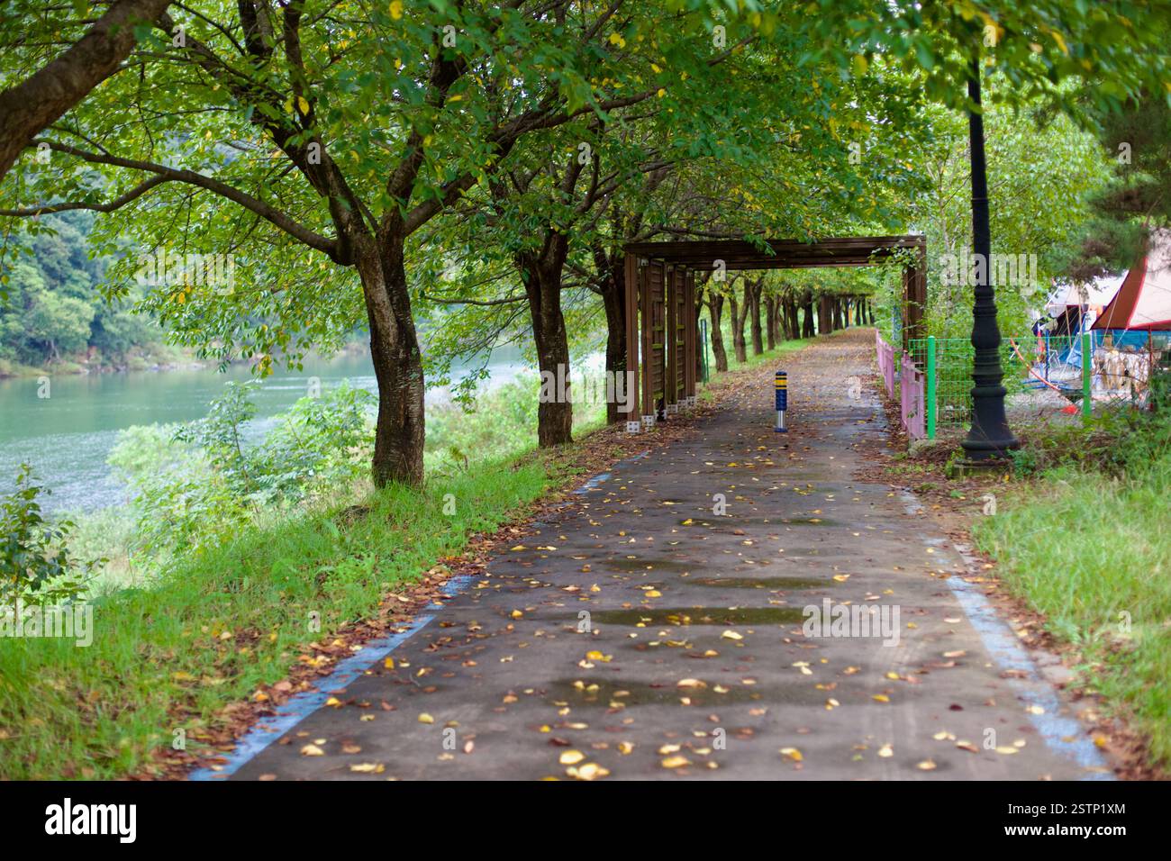 Scenic path follows stream hi-res stock photography and images - Alamy
