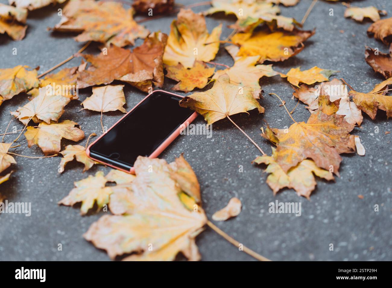 The smartphone lying on the ground in the fall Stock Photo - Alamy