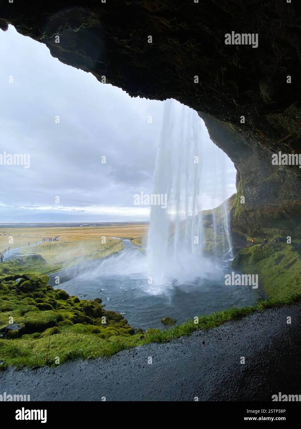 The image captures a breathtaking view of the Seljalandsfoss waterfall ...